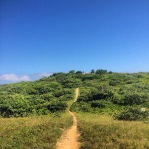 Visiting Nantucket's 31 Most-Instagrammed Places