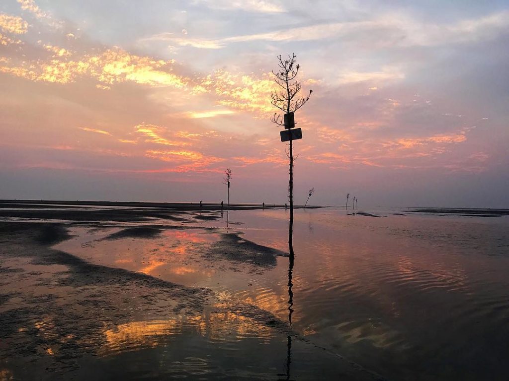 Cape Cod's 69 Most-Instagrammed Places (According to Data)