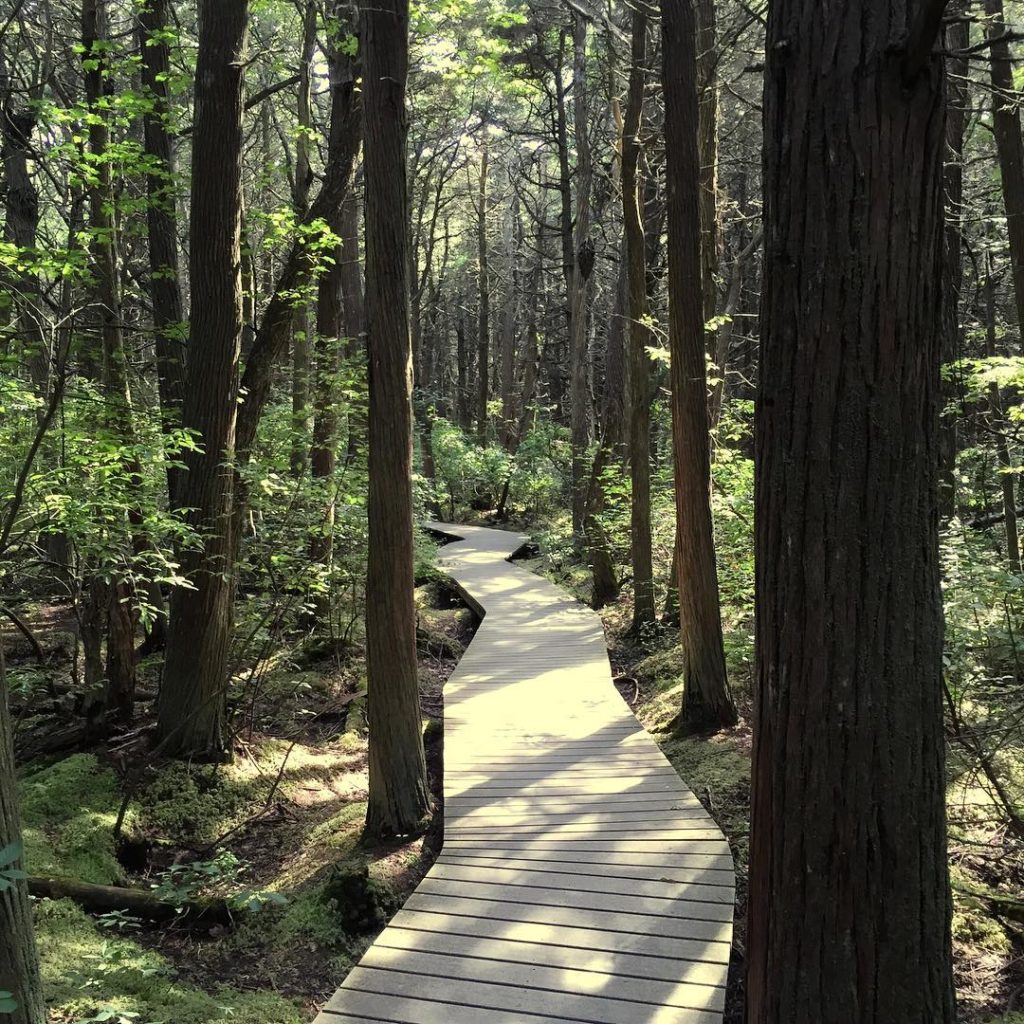 The 28 Most Popular Hikes in Massachusetts (According to Google and ...